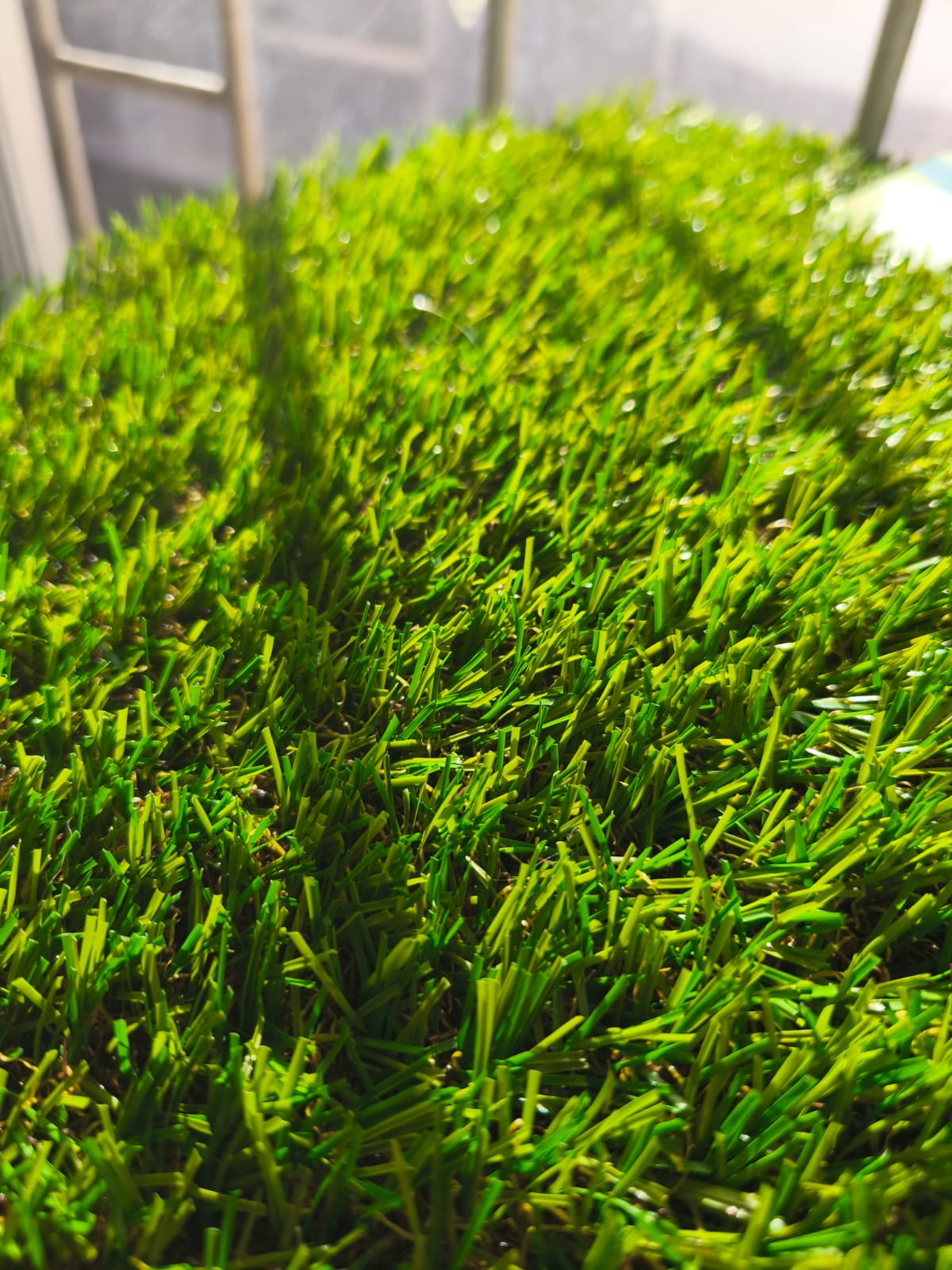 Pasto sintetico 20MM Bicolor - Hidalgomas